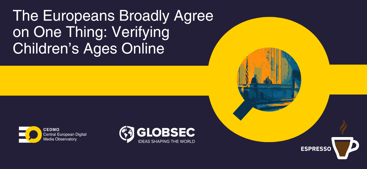 The Europeans Broadly Agree on One Thing: Verifying Children’s Ages ...